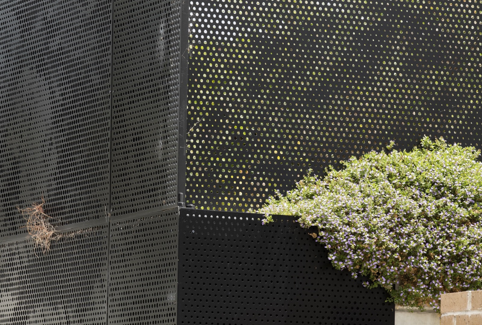 Perforated Metal Privacy Screen at Olga Johnsen blog